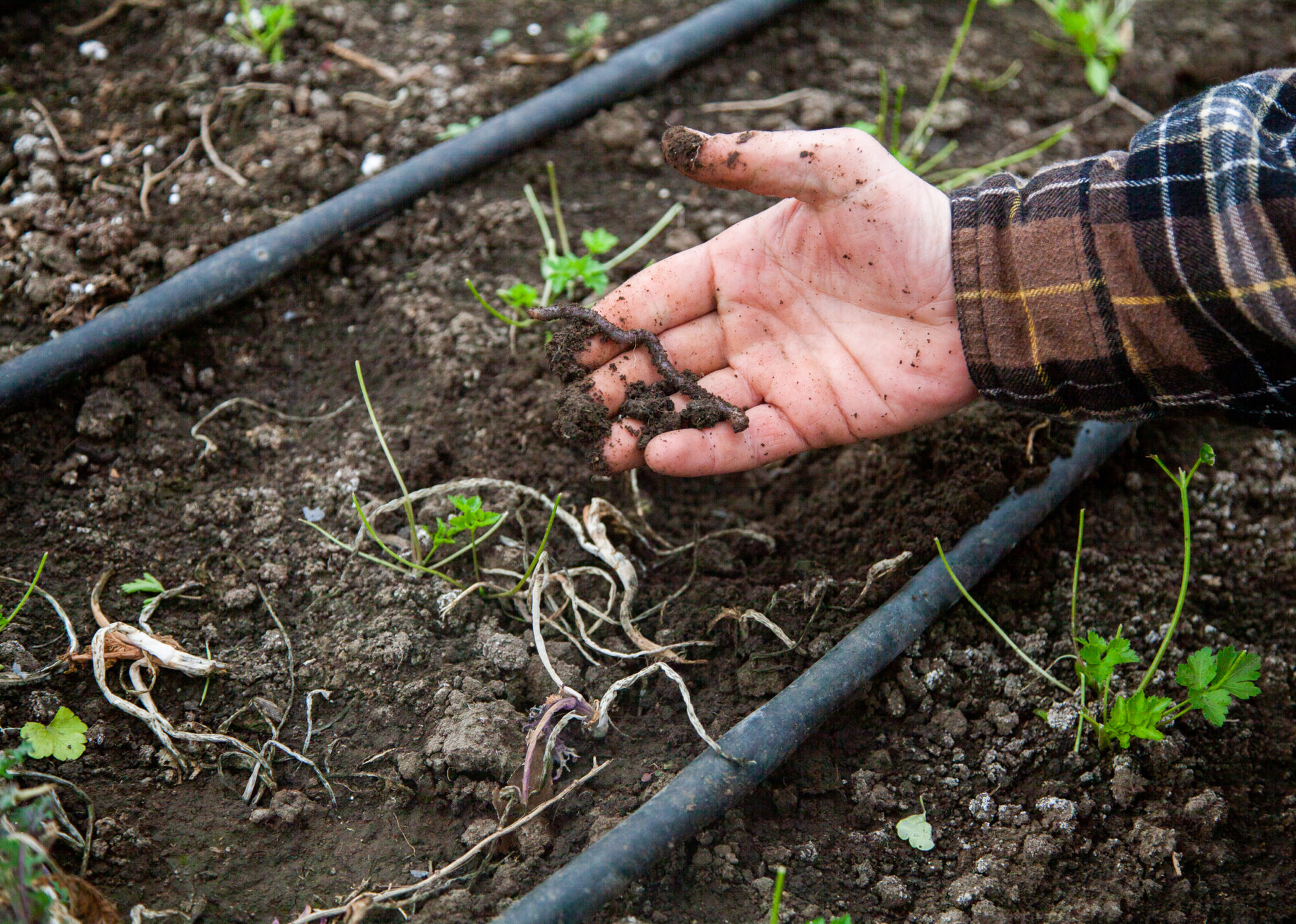 ‘It’s about Healing the Earth:' How Nebraskans are Building Sustainable ...